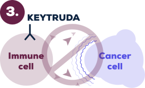 About My Treatment (GB) - Keytruda UK